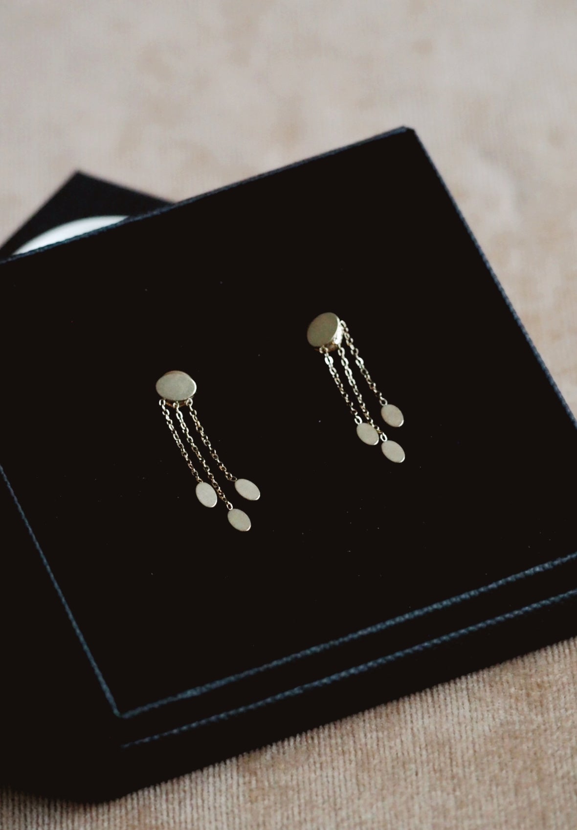 Delicate Chain Earrings – Atlas of Dreams